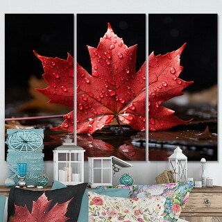 Designart "Canada Canadian Pride III" Canada Wall Art Print Set - Bed ...