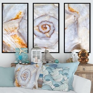 Designart "Great Skeleton of Sea Shell" Animal Framed Art Prints Set of ...