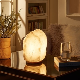 Cayleigh 8 Color Modes Salt Lamp - Bed Bath & Beyond - 36786635