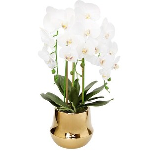 White Orchid plant in Round shiny gold vase - Bed Bath & Beyond - 38236873