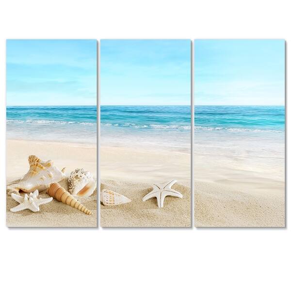 Designart "Landscape With Shells On Tropical Beach" Nautical & Coastal ...