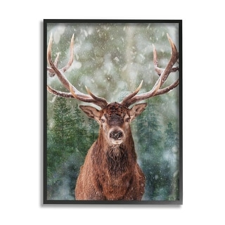 Stupell Woodland Forest Deer Framed Giclee Art Design by Marcus Prime ...