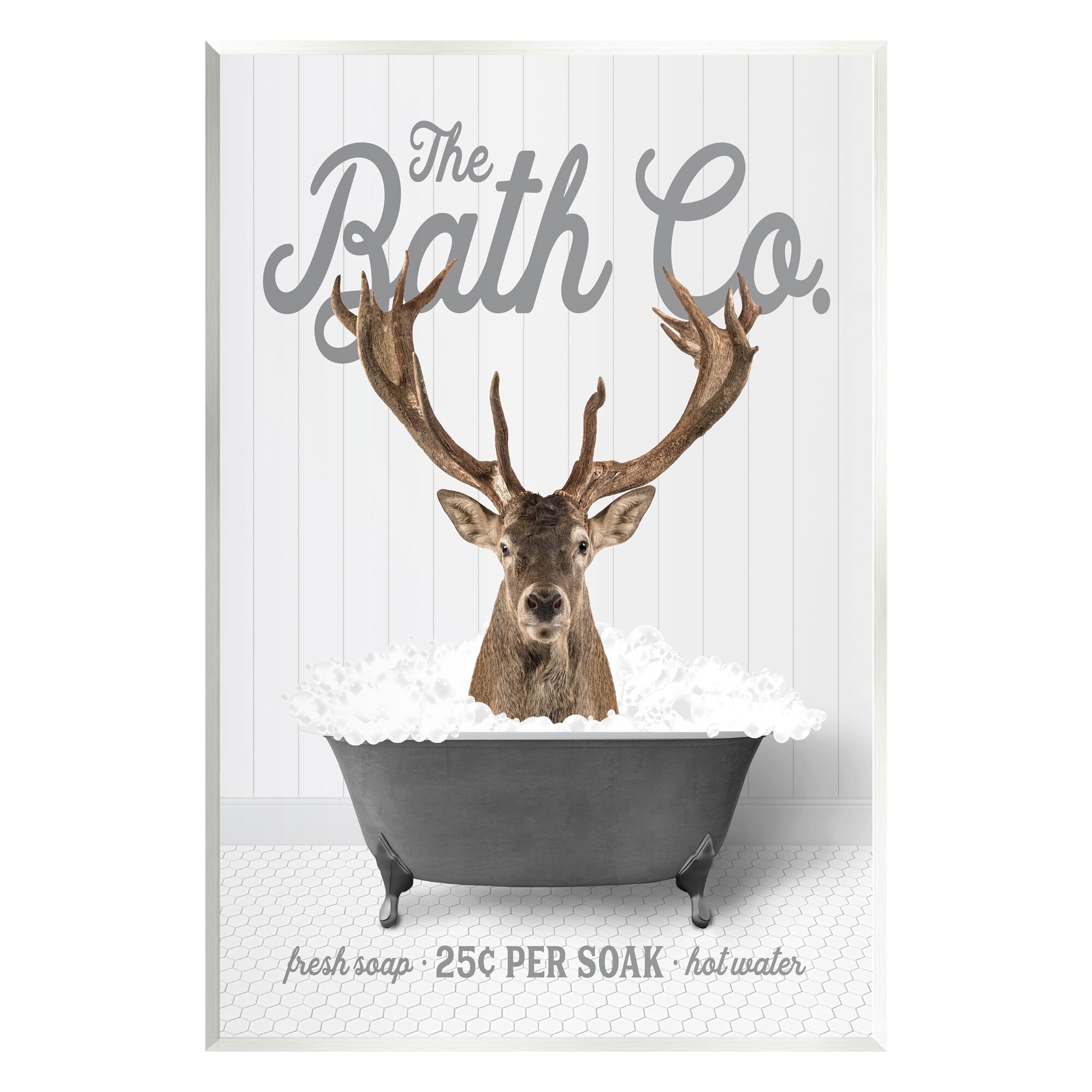 do deer bathe