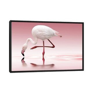 iCanvas "Flamingo" by Doris Reindl Framed Canvas Print - Bed Bath ...