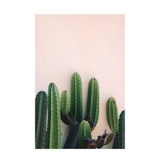 Incado 'Cactus' Canvas Art - Bed Bath & Beyond - 39535629