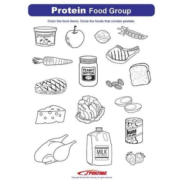 protein food group coloring pages
