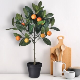 Potted Mandarin Orange Topiary 24" - Bed Bath & Beyond - 37212236