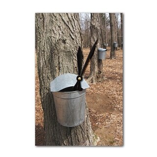 Maple Tree Sap Buckets - Lantern Press Photography (Acrylic Wall Clock ...