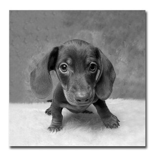Rupert by Ginger DeLater Gallery Wrapped Canvas Giclee Art (18 in x 18 ...