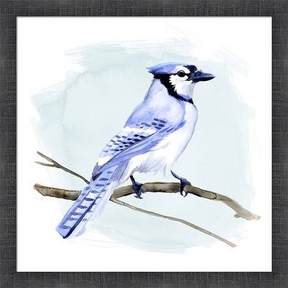 Jacob Green 'Coastal Blue Jay I' Framed Art - Bed Bath & Beyond - 33490793