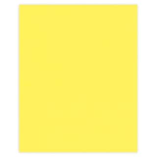 Bright Yellow 16x20 Backing Board - Uncut Photo Mat Board - Bed Bath ...
