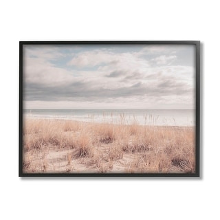 Stupell Grassy Ocean Shore Horizon Framed Giclee Art, Design by Nathan ...