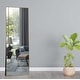 65''x22'' Full Length Mirror Floor Mirror - N/A - Bed Bath & Beyond ...