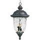 Maxim Carriage House 24" 3 Light Vivex Pendant Light - Bed Bath ...