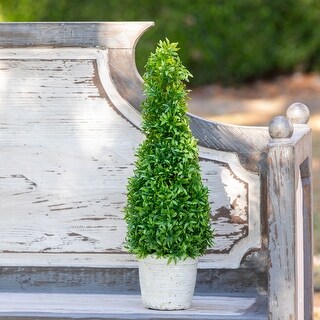 Mountain Savory Cone Topiary, Large - Green - Bed Bath & Beyond - 40164094