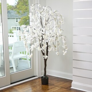 6' Weeping Cherry Tree - Bed Bath & Beyond - 43819560