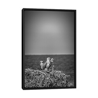 iCanvas "Eagle Eyes" by Graham Earnshaw Framed - Bed Bath & Beyond ...