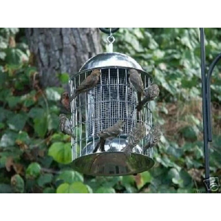 big bird proof feeder
