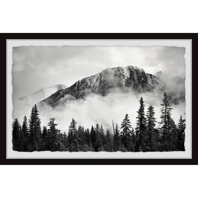 'Forest on Fog' Framed Painting Print - Overstock - 34829907