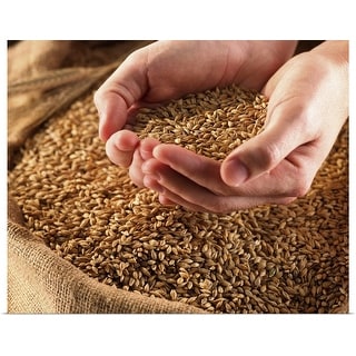 "Hands holding wheat" Poster Print - Multi - Bed Bath & Beyond - 21000107