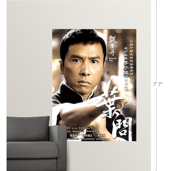 ip man 2008 cover