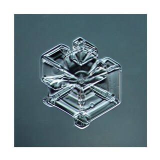 Print Collection 'Hexagonal Plate Snowflake 4' Canvas Art - Bed Bath ...