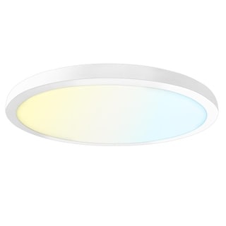 Luxrite 19" LED Flush Mount Ceiling Light, 35W, 2200LM, 5CCT 2700K ...