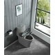Dual-Flush One Piece Toilet, Water-Saving Elongated Comfort Height ...