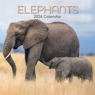 The Gifted Stationery 2026 Square Wall Calendar, Elephants, 16-Month ...