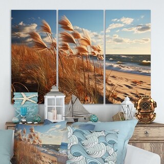 Designart "Beach Grass Sunkissed Sands III" Landscapes Canvas Prints ...