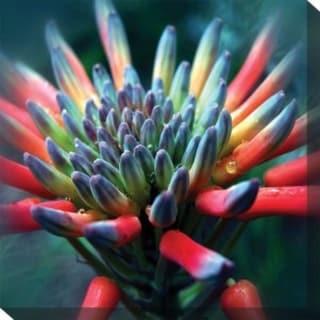 Red and Purple Sparkler Outdoor Canvas Square Wall Art Decor 24" x 24 ...