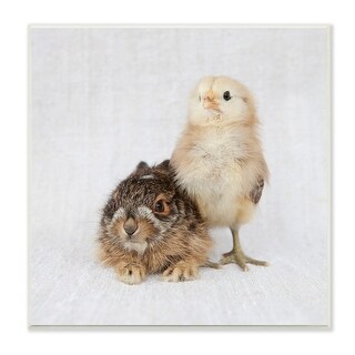 Stupell Baby Animals Chick Bunny Duo Portrait Photography Wood Wall Art ...