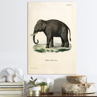 Designart "Vintage Drawing Of Elephant I " Animals Canvas Wall Art ...