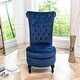 Gosser 20" Wide Velvet High Back Vanity Chair - Bed Bath & Beyond ...