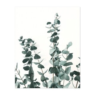 Eucalyptus Leaves Photography Bohemian Boho Flower Art Print/Poster ...
