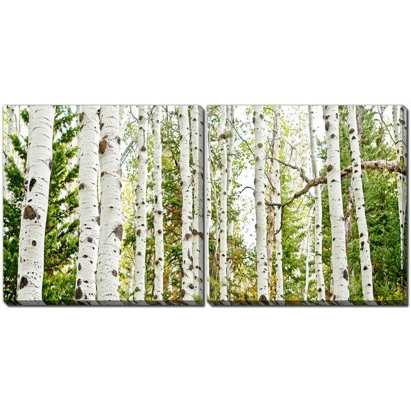 Birch Forest Panel - Bed Bath & Beyond - 36720770