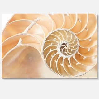 Brown Nautilus Shell Pattern - Abstract Art Glossy Metal Wall Art - Bed ...