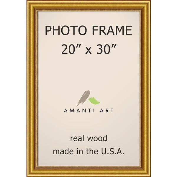 Townhouse Gold Photo Frame 23 x 33-inch - Overstock - 10098099