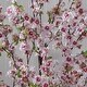 5.5' Potted Cherry Blossom Tree - Bed Bath & Beyond - 42867133