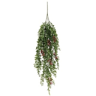 Lady Ruscus & Berries Hanging Bush 36" - Green - 36" x 4" x 4" - Bed ...