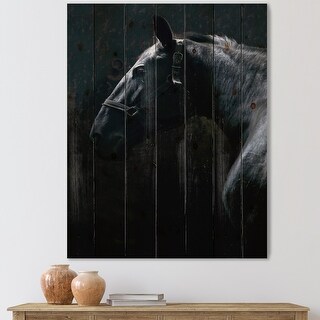 Designart 'Portrait Of Thoroughbred Nonius Stallion Horse II' Farmhouse ...