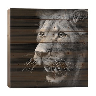 Lion In Black & White III Print On Wood by Lukas Holas - Multi-Color ...