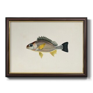 Tropical Fish Collection III Premium Framed Canvas- Ready to Hang - Bed ...