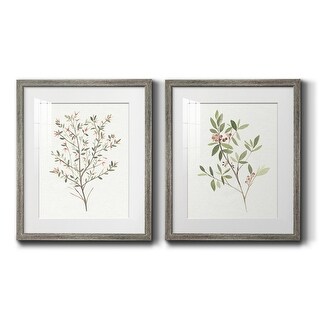 Single Sprig III Premium Framed Print - Ready to Hang - Bed Bath ...