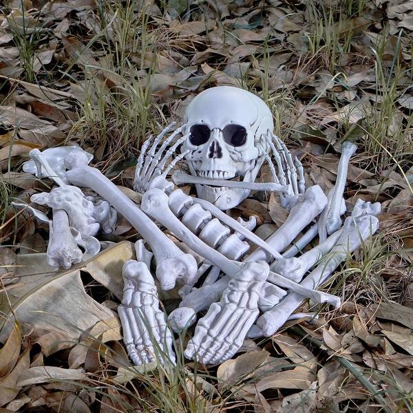 halloween skeleton bones