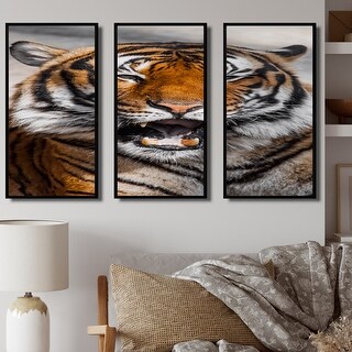 Designart "Portrait Of A Tigers Face I" Traditional Framed Canvas Wall ...