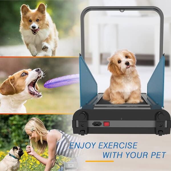 pet treadmill
