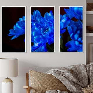 Designart "Blue Chrysanthemum Flowers On Black II" Traditional Framed ...