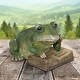 Exhart Solar Reading Frog with Book Garden Statue, 10 by 7 Inches - Bed ...
