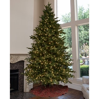 Barcana Alaskan Deluxe Fir Christmas Tree w/ White LED Lights - Bed ...